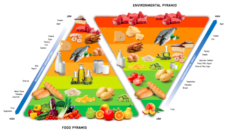 Body Weight and Allergic Conditions: A Difficult Topic | Highland Park ...
